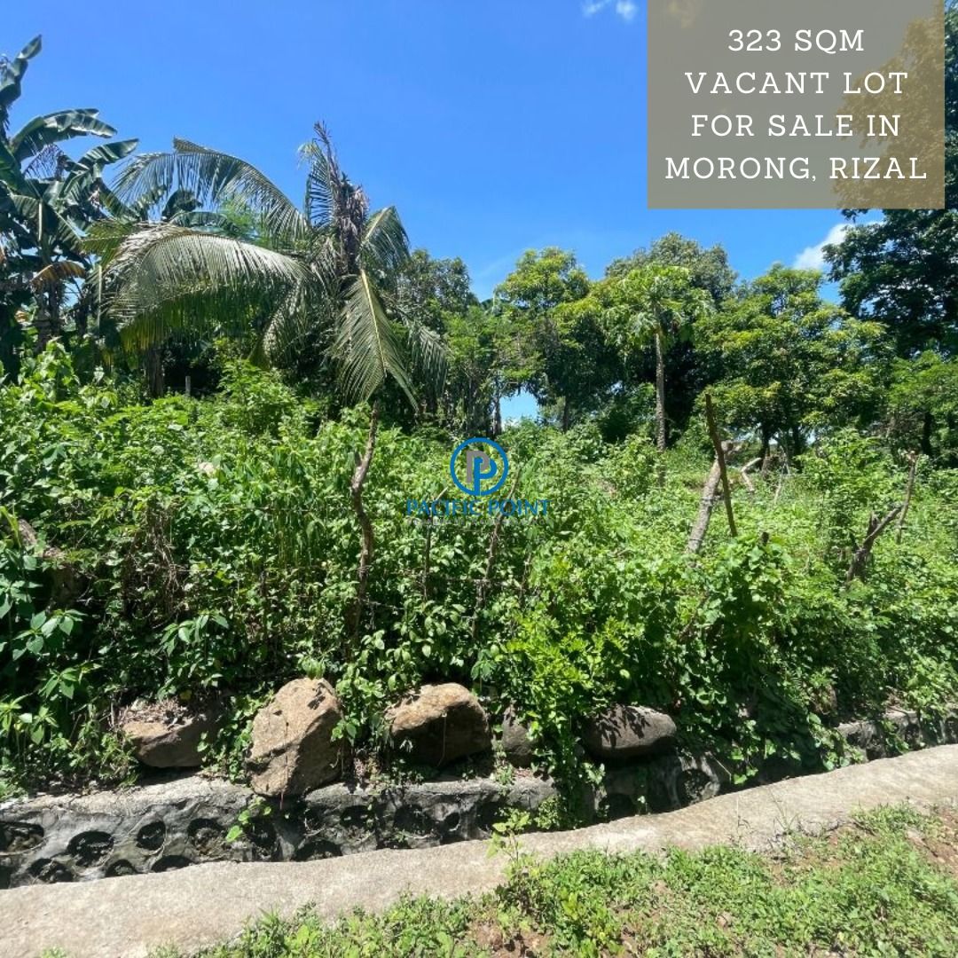 Vacant Lot for sale in Crystal East, Morong Rizal, Property, For Sale ...