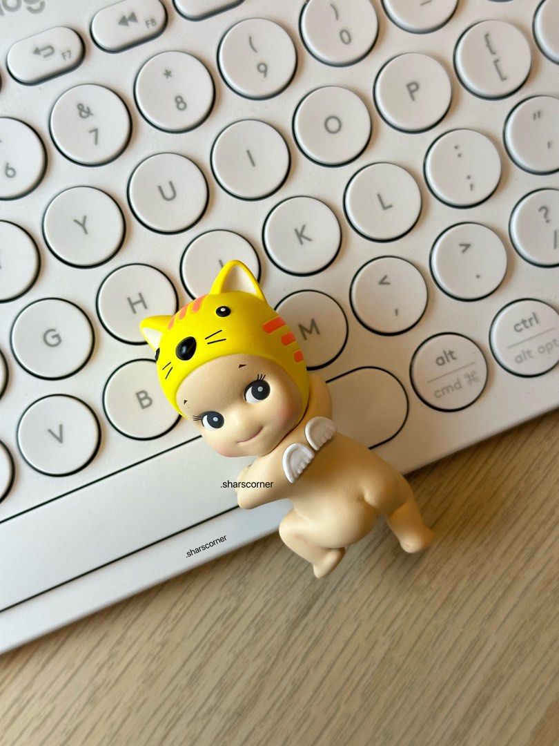 cat looking back hipper