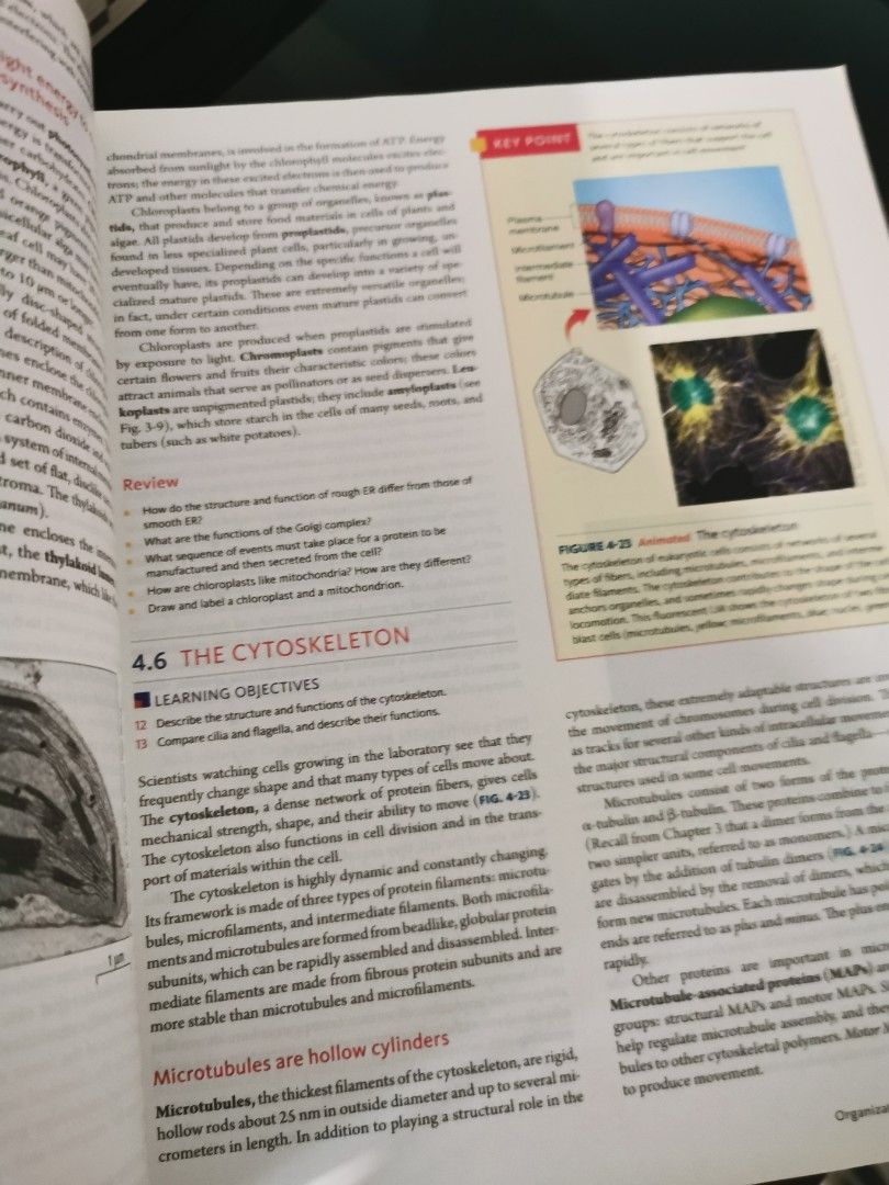 Biology Solomon Berg Martin 9th Edition, Hobbies & Toys, Books ...