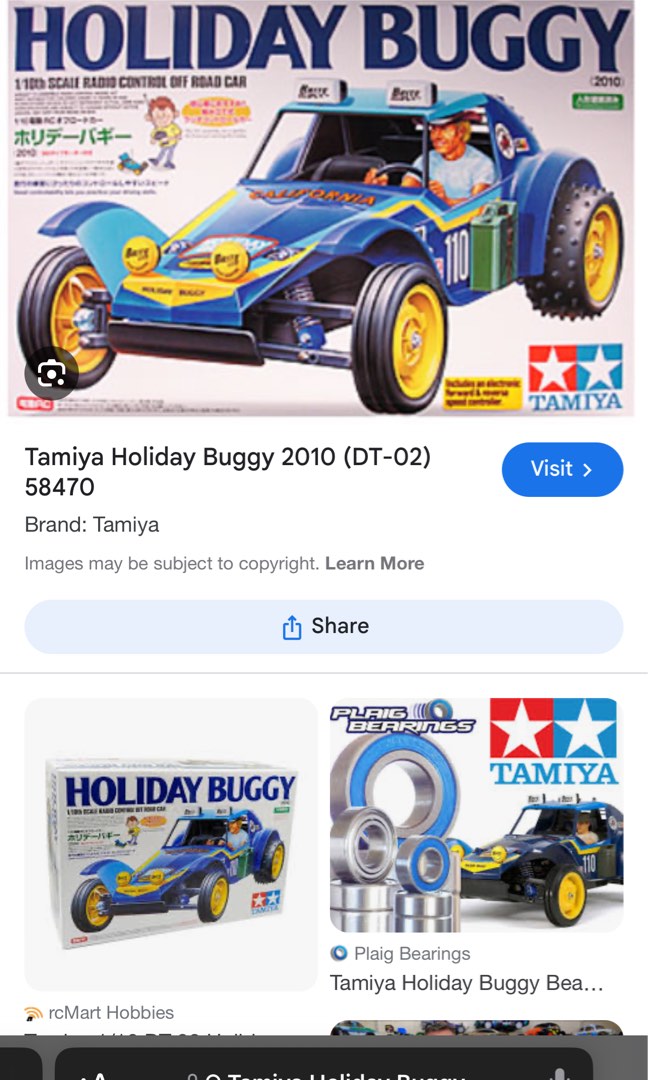 Tamiya 1/10 Scale 2wd Hoilday Buggy 2010, Hobbies & Toys, Memorabilia ...