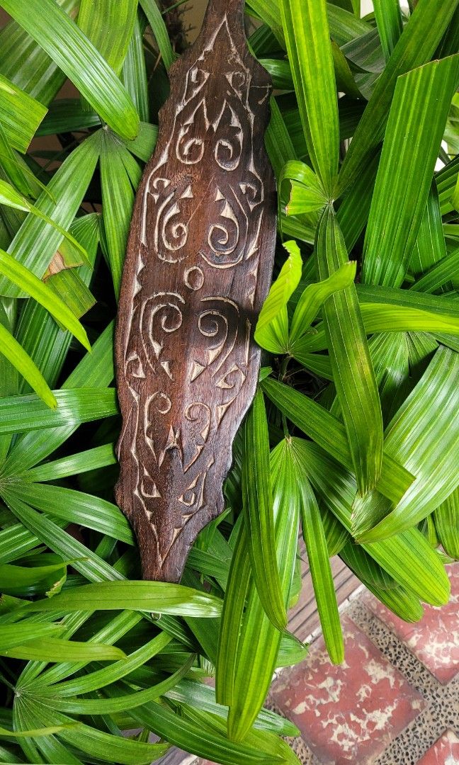 Terabai Kayu iban wood wooden shield Borneo sarawak Malaysia iban dayak ...