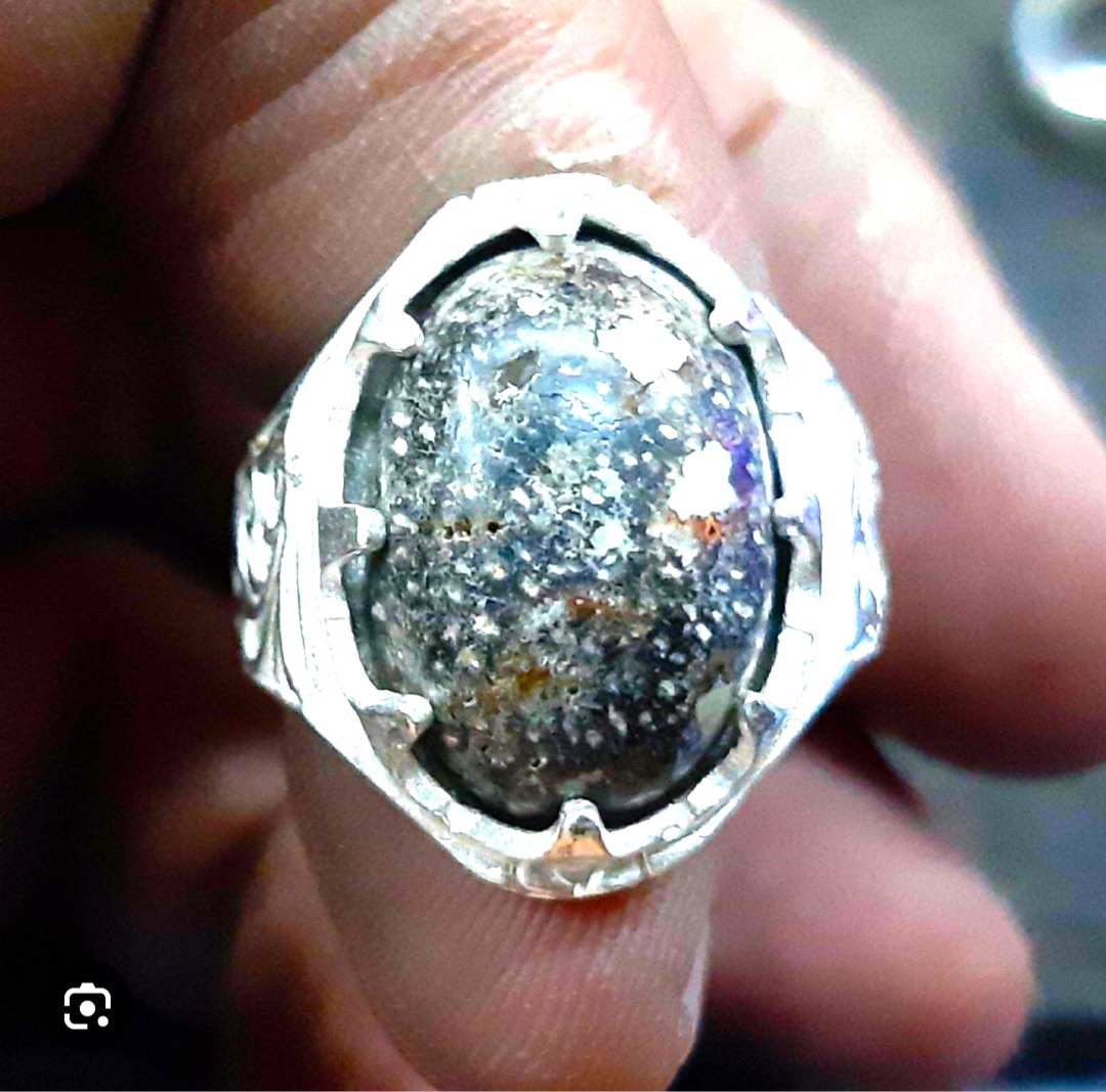 Teras Akar Sulur Bertam, Hobbies & Toys, Collectibles & Memorabilia ...