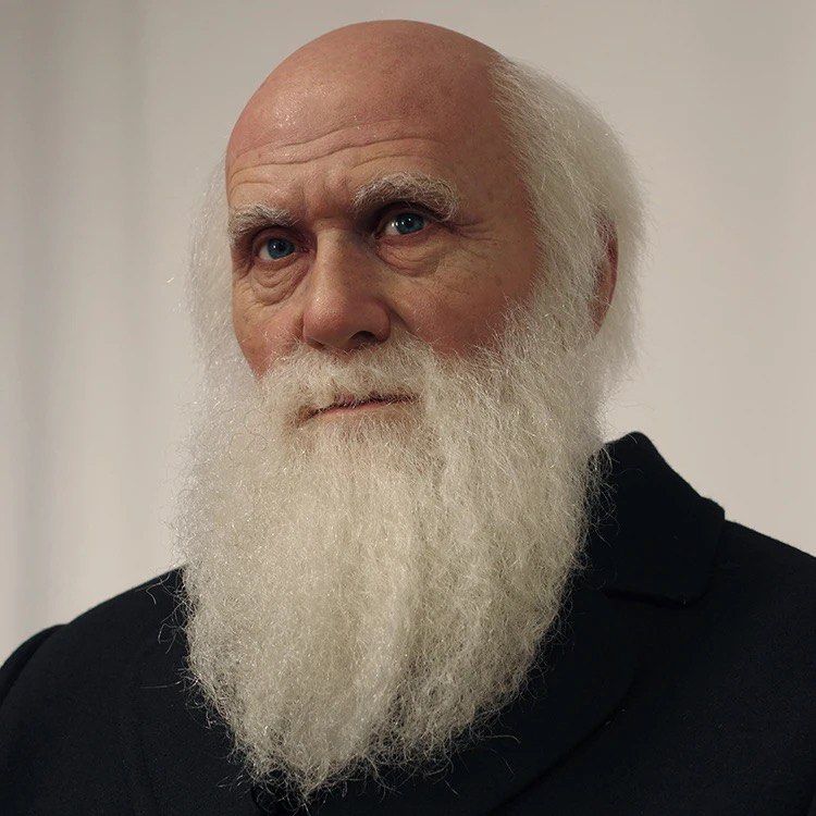 178cm Charles Darwin Life Size Statue Wax Figure, Hobbies & Toys, Toys ...