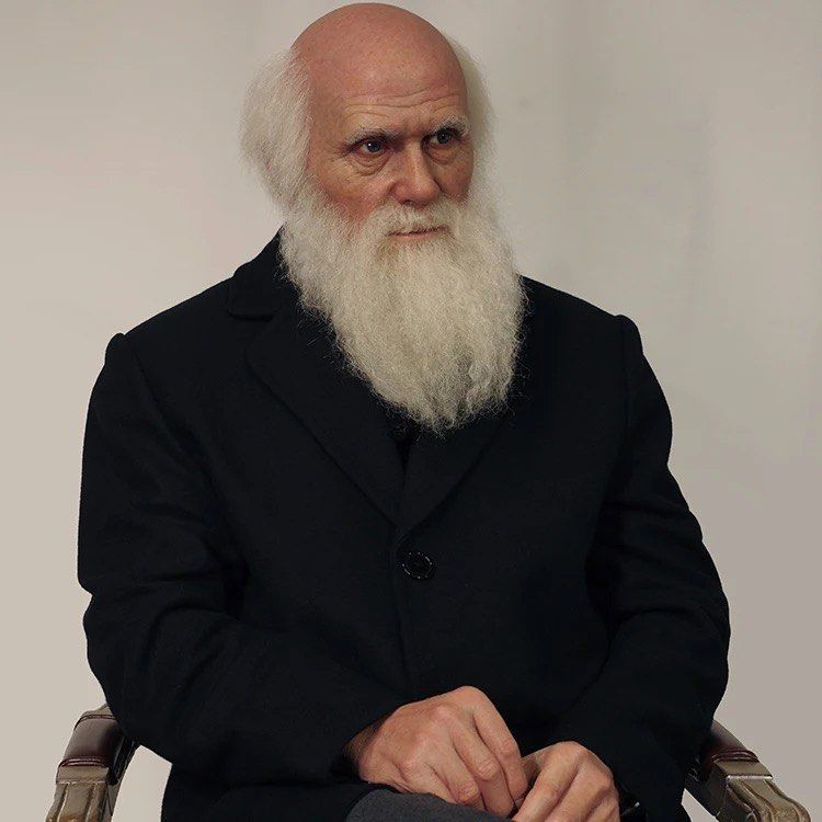 178cm Charles Darwin Life Size Statue Wax Figure, Hobbies & Toys, Toys ...