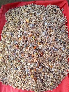 ISP bonanza prepaid internet cards, Hobbies & Toys, Memorabilia ...