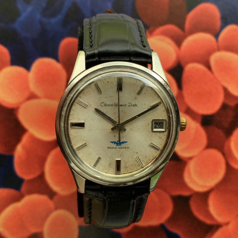 Citizen Homer Date Parawater (First ever Japan Water Resist Watch), Men ...