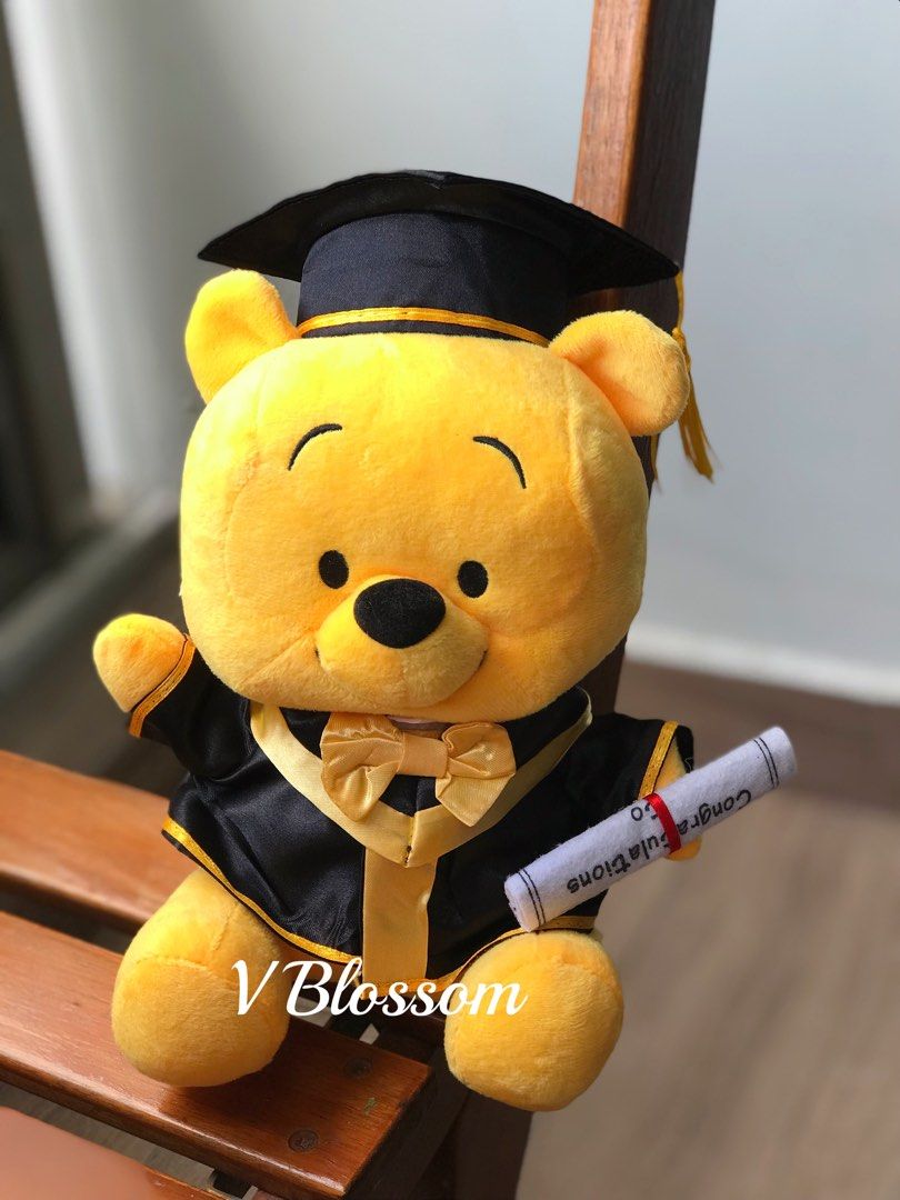 25cm Pooh Graduation Bear Graduation Gift, Hobbies & Toys, Toys & Games on Carousell