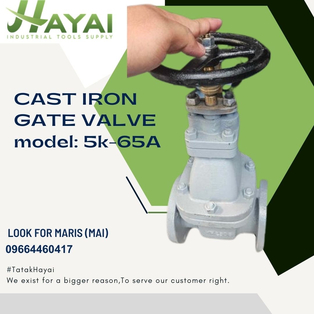 CAST IRON GATE VALVE 56-65A, Commercial & Industrial, Construction ...