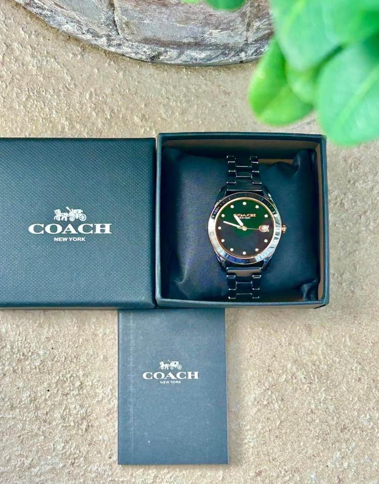 COACH PRESTON CERAMIC (parang chanel watch) Fit up to large 36 mm case ...