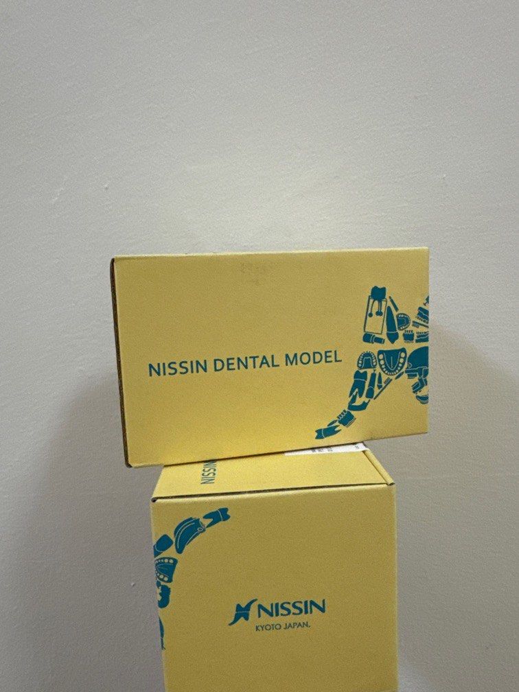 NISSIN DENTAL MODEL, Everything Else, Others on Carousell