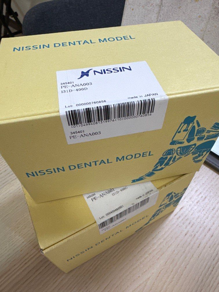 NISSIN DENTAL MODEL, Everything Else, Others on Carousell