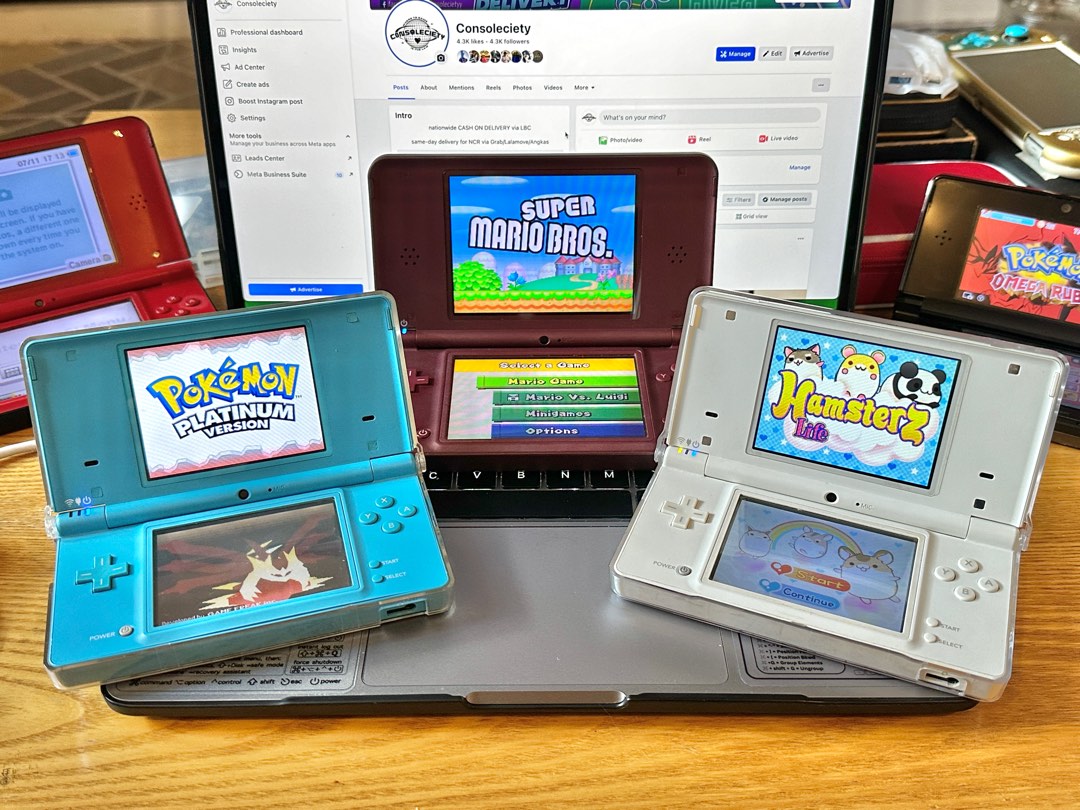 Nintendo DSi XL White Blue Maroon, Video Gaming, Video Game Consoles ...