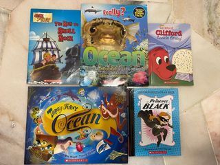 [New] Scholastic Sam & Sally Hidden Pictures, Hobbies & Toys, Books ...