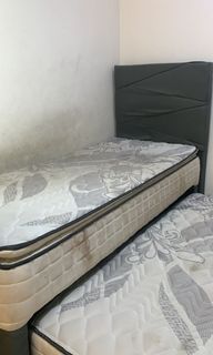 DREAMLINE Spring Bed GUHDO Dipan - 180 x 200 cm, Perabotan Rumah di ...