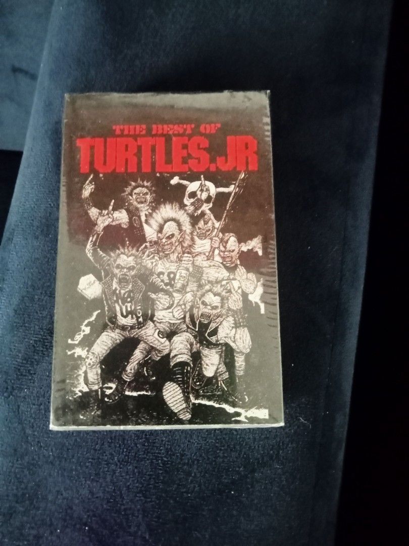 Turtle junior " the best...", Hobbies & Toys, Toys & Games on Carousell