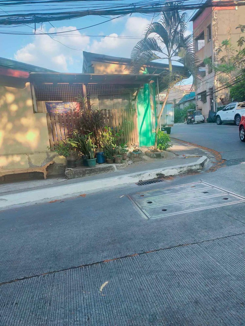 Napocor Village Tandang Sora Quezon City House and Lot For Sale ...