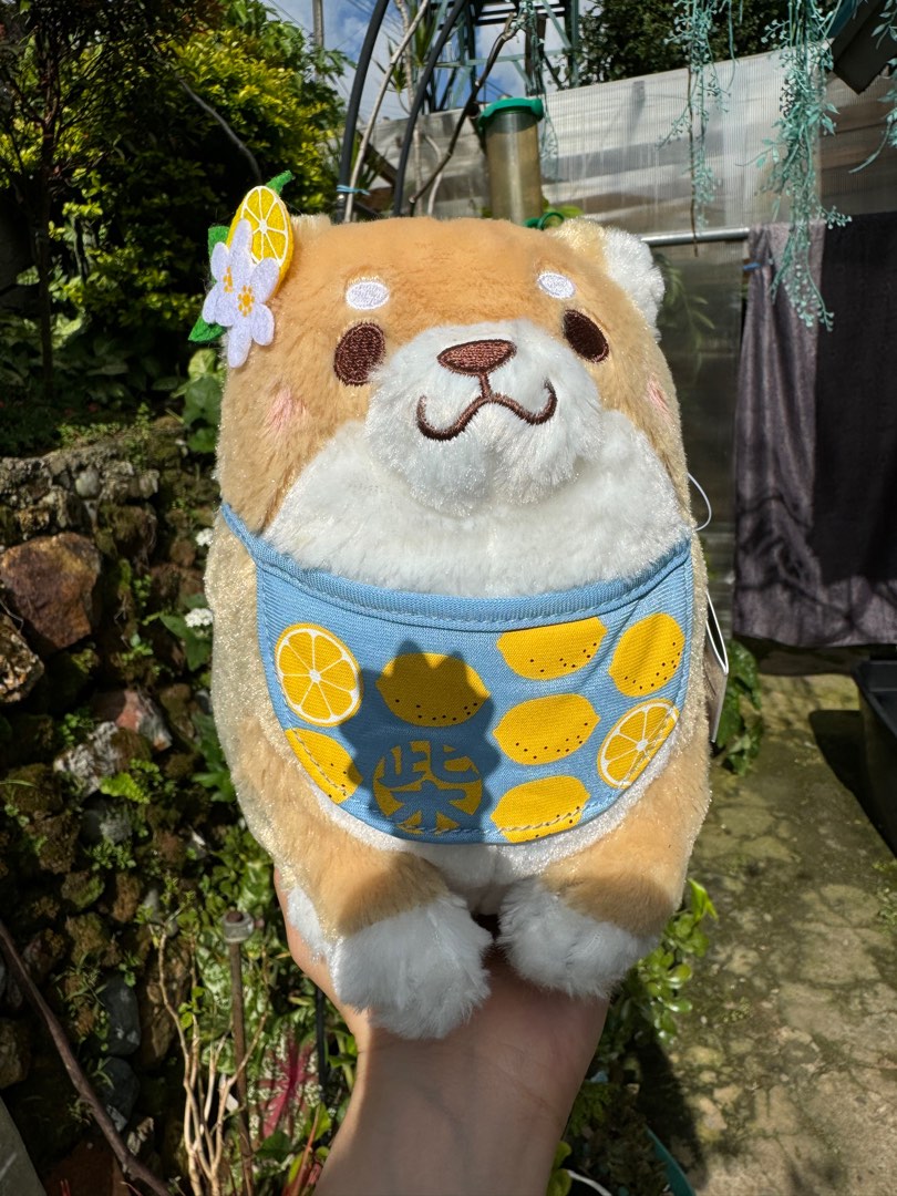 SK SHIBA DOG STUFFED TOY, Hobbies & Toys, Toys & Games on Carousell