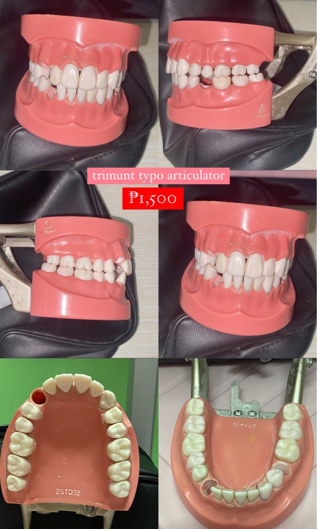 Trimunt Typodont Articulator, Health & Nutrition, Medical Supplies ...