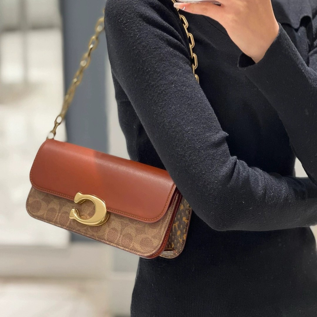 Coach Idol Bag 23, Women's Fashion, Bags & Wallets, Cross-body Bags on ...