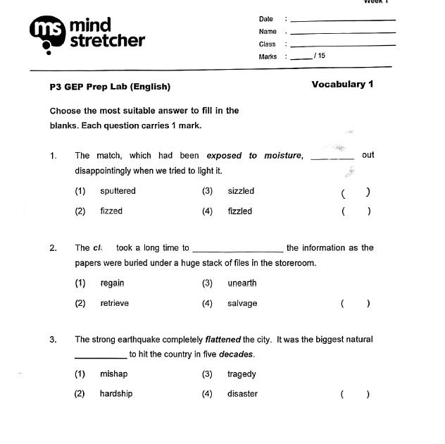 2024 GEP P3 Math and English Preparation Mock and Practices Mind ...