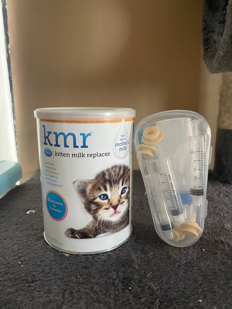 KMR (Kitten Milk Replacer), Pet Supplies, Pet Food on Carousell