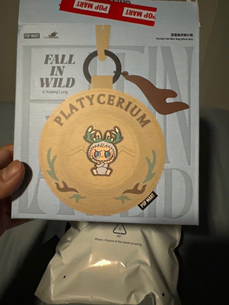 Labubu bucket hat platycerium mini bag fall in wind keychain, Hobbies ...