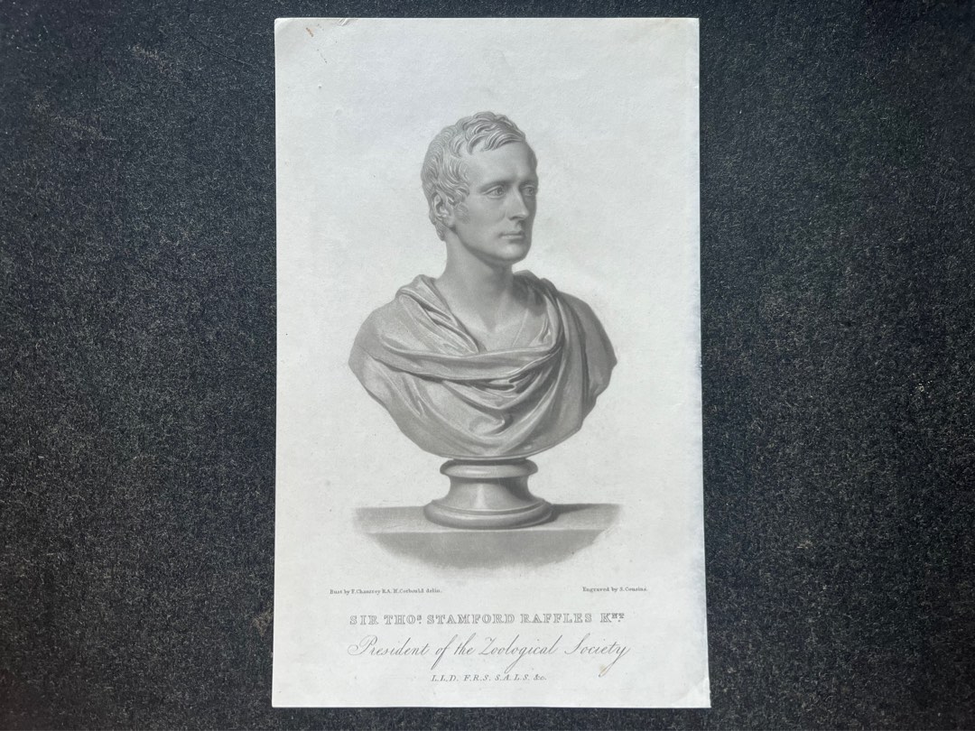 1830 Sir Thomas Stamford Raffles Engraving Bust Orignal (Singapore ...