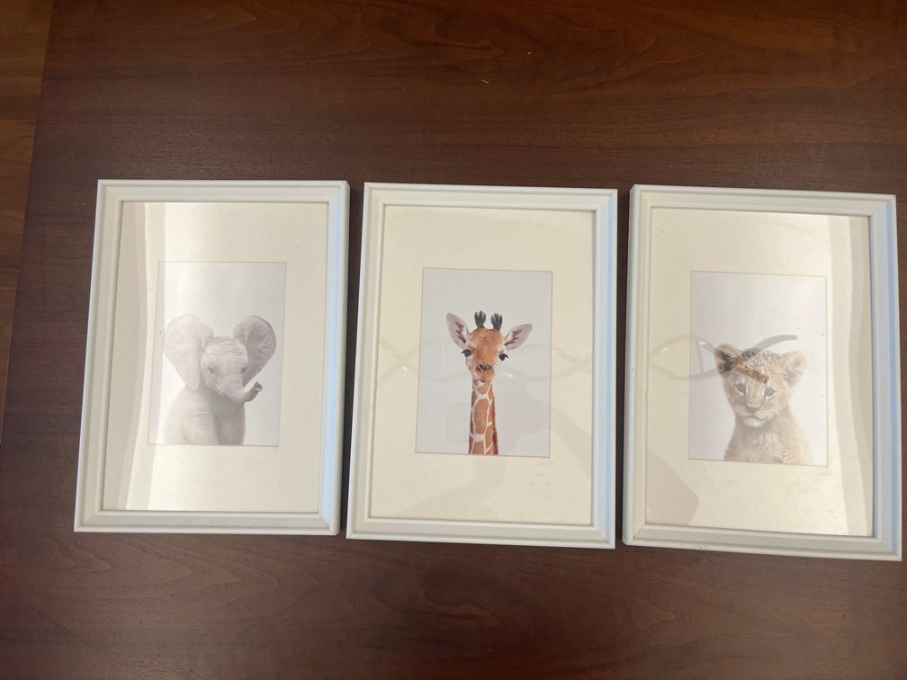 Baby animals in white photo frames (each $15), Furniture & Home Living ...