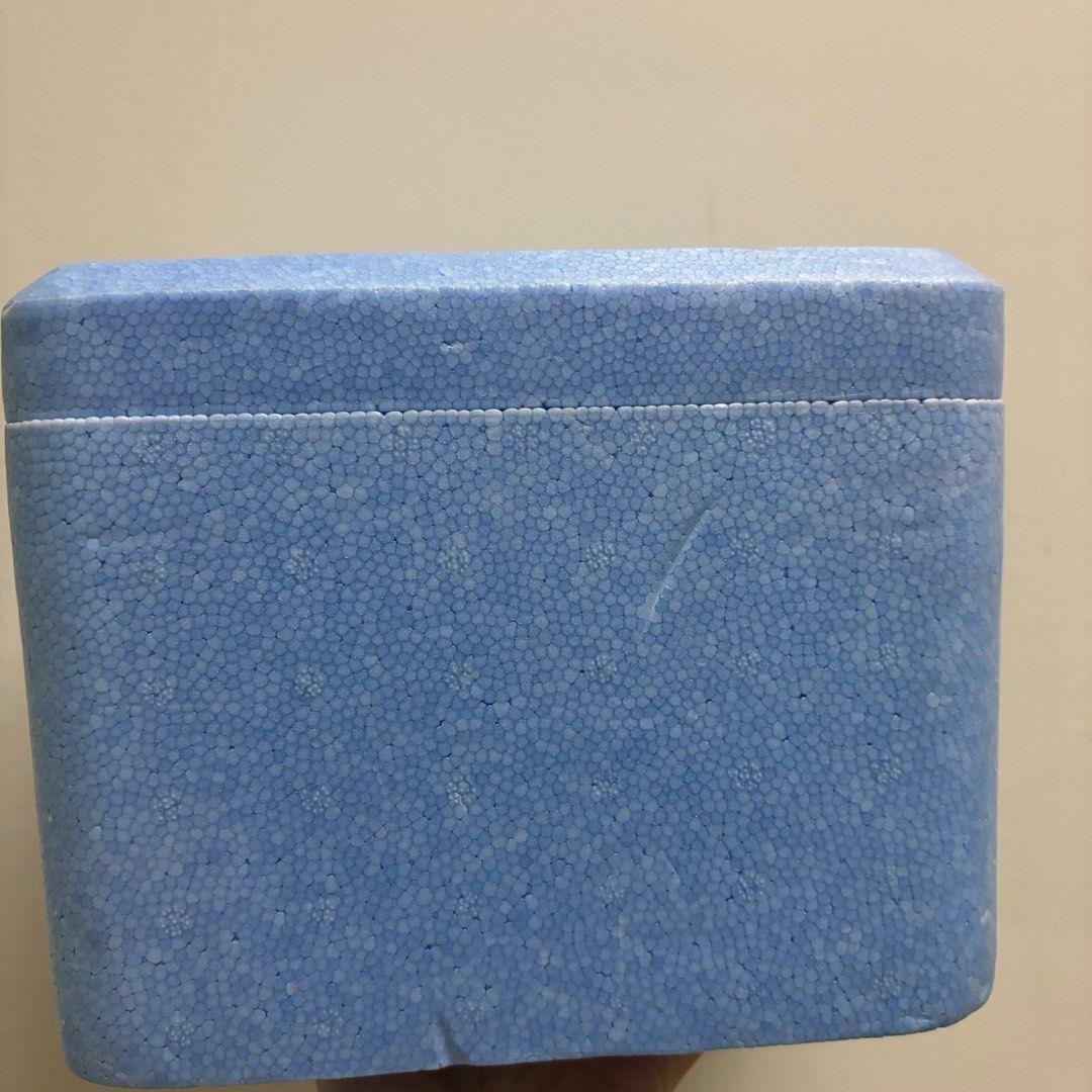 Daiso cooler storage NEW, Furniture & Home Living, Home Improvement ...