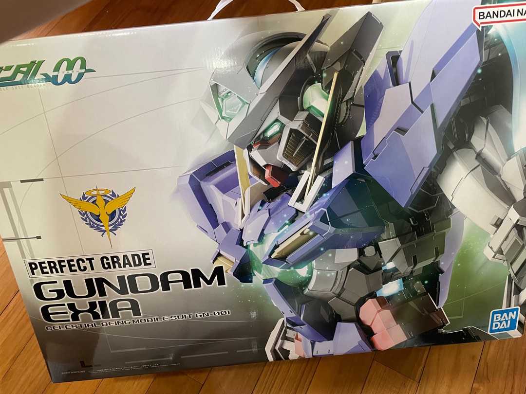 gundam pg exia perfect grade 1/60, Hobbies & Toys, Toys & Games on ...