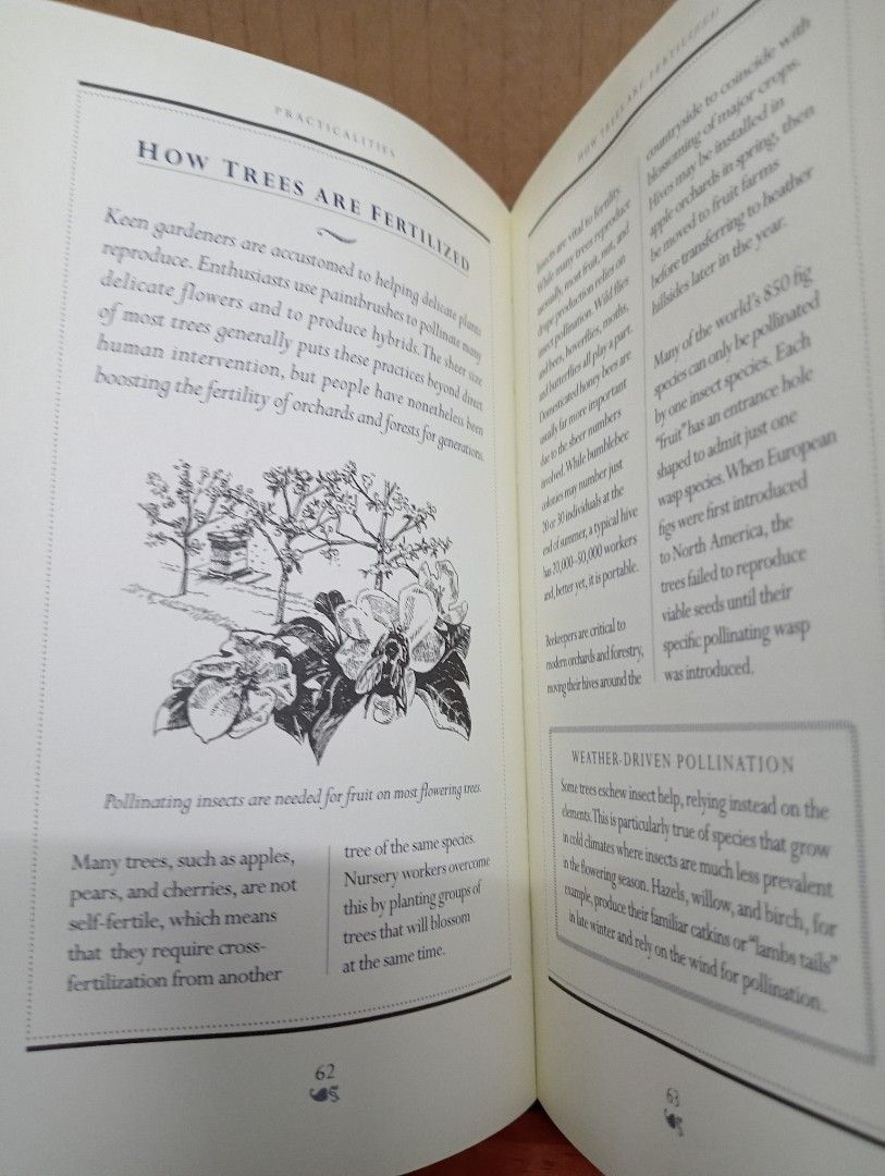 HOW TO PLANT A TREe A Simple Celebration of TREES & TREE-PLANTING CEREMONIES DANIEL BUTLER 2012 ...