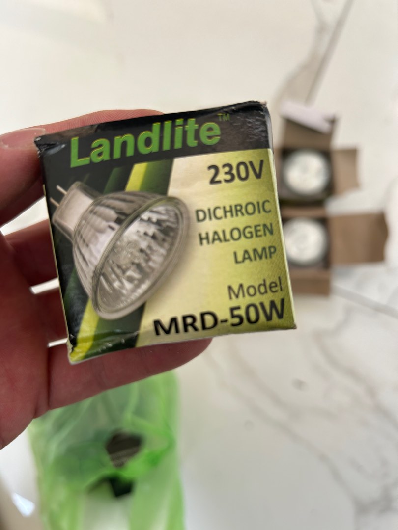 Landlite halogen lamp, Furniture & Home Living, Lighting & Fans ...
