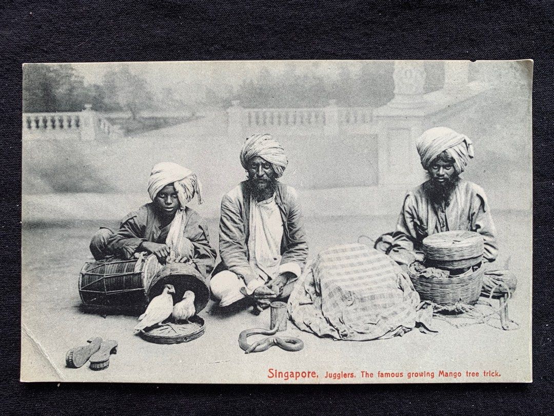 Malaya MANGO TREE TRICK 1920 Postcard, Hobbies & Toys, Collectibles ...