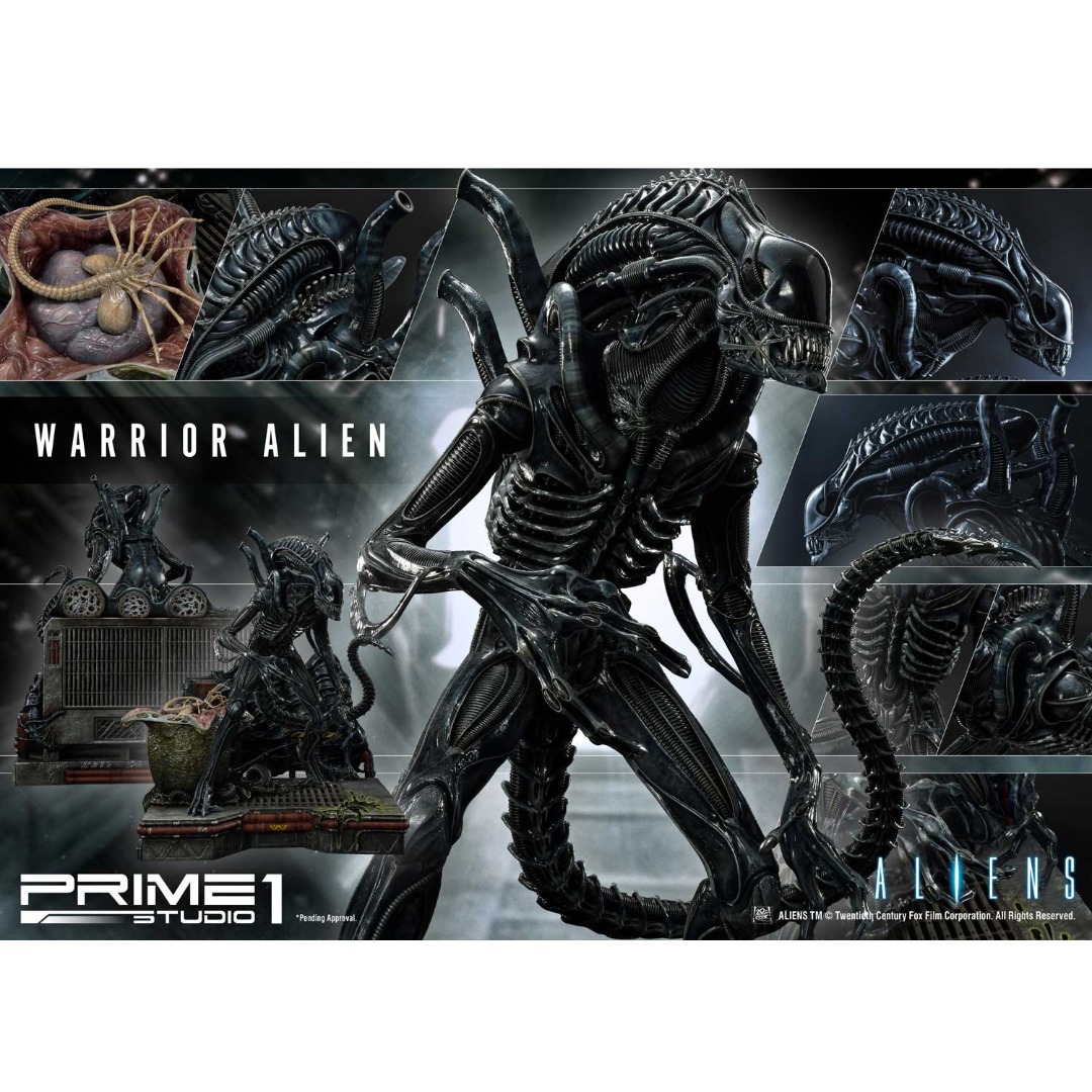 Premium Masterline Aliens (Comics) Warrior Alien | | Prime 1 Studio ...