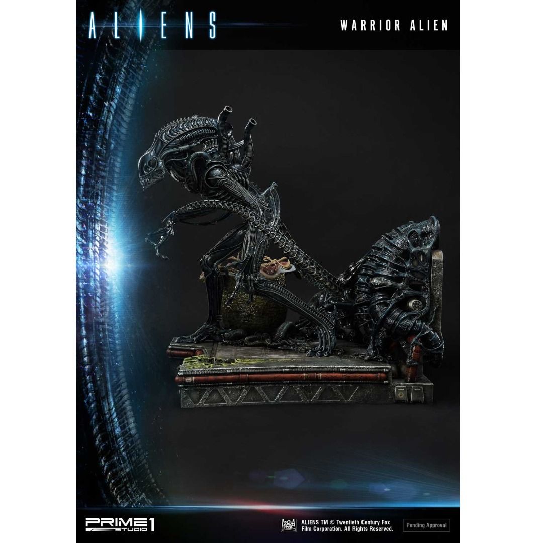 Premium Masterline Aliens (Comics) Warrior Alien | | Prime 1 Studio ...