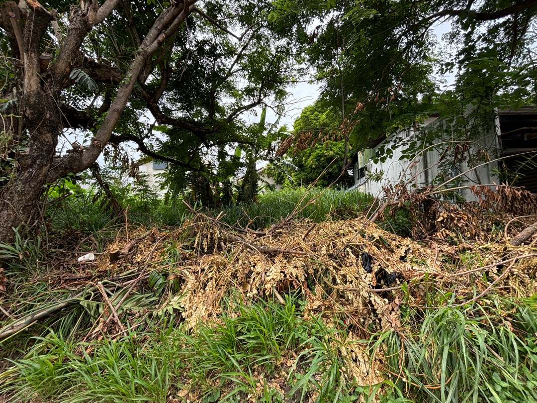 concha cruz - View all concha cruz ads in Carousell Philippines