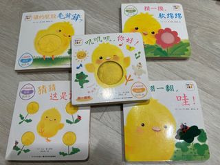 DVDs - ABC Chinese Frozen Barney Flashcard fruity baby learn Chinese ...