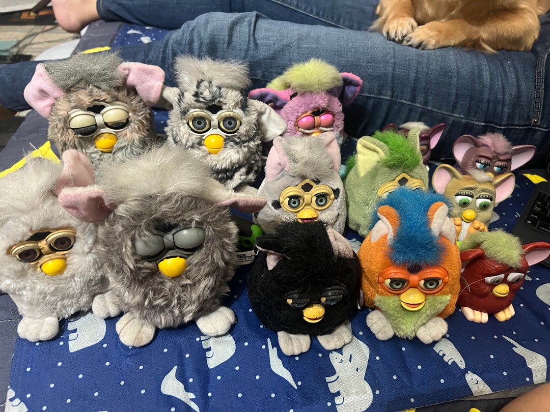 Furbies Collection , Announcements on Carousell