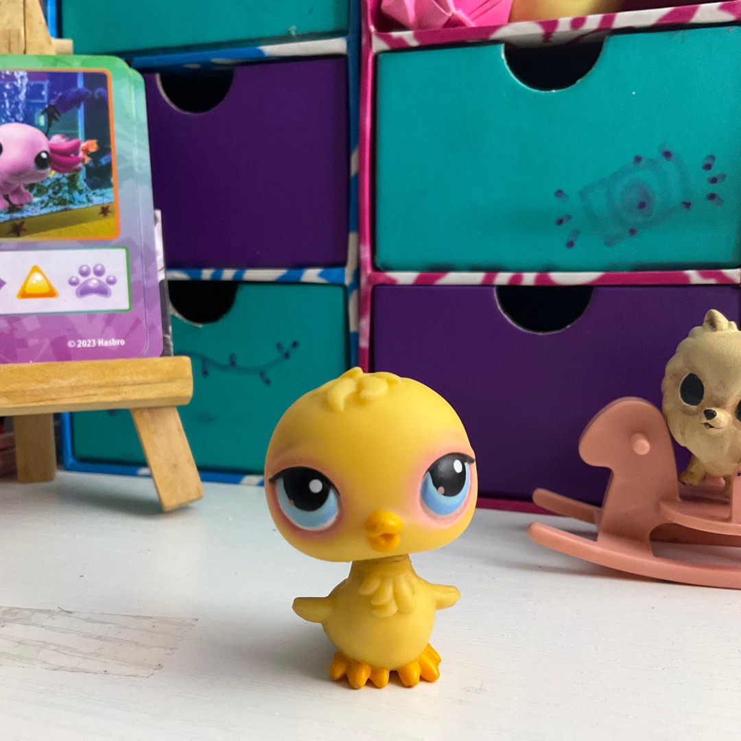 Lps chick, Hobbies & Toys, Toys & Games on Carousell