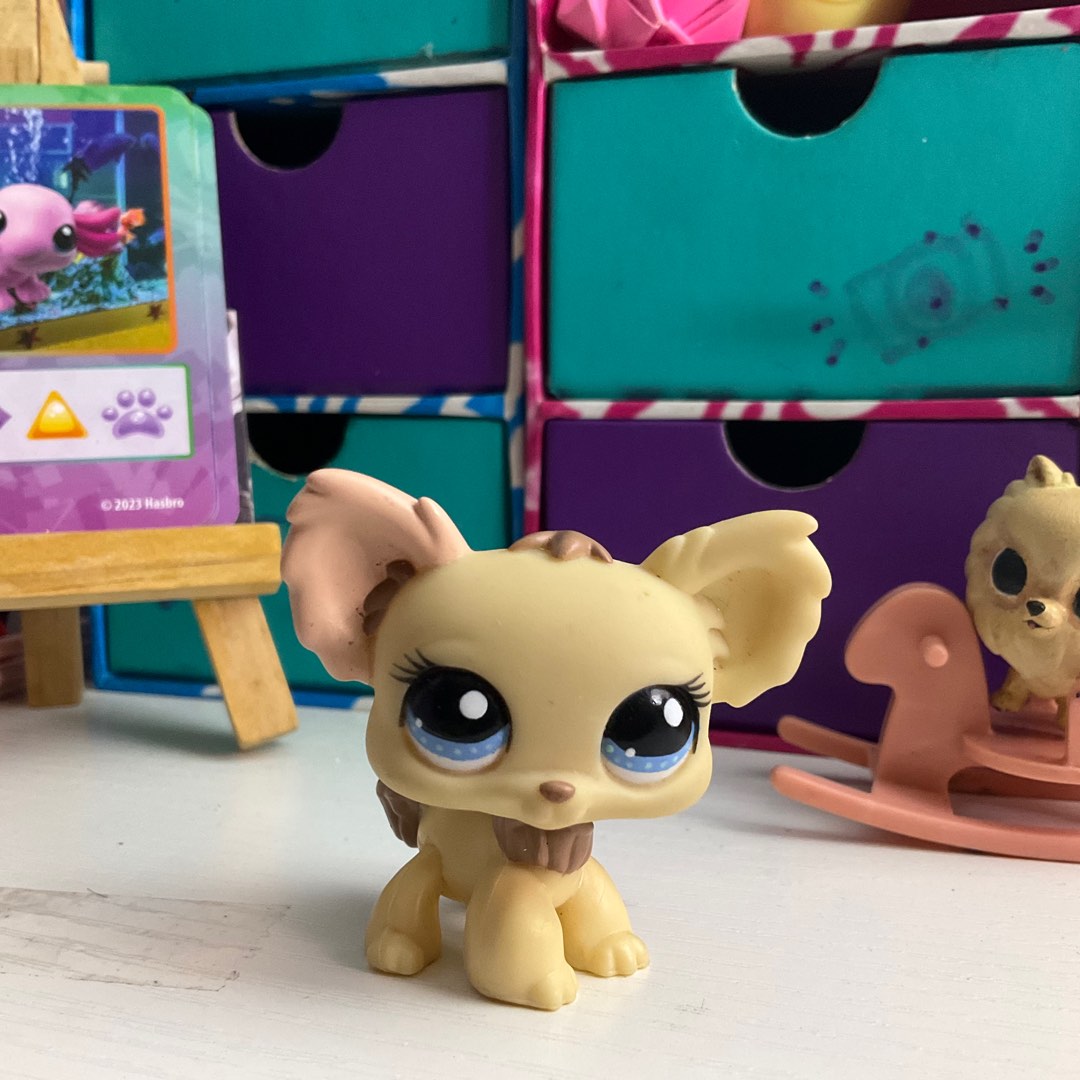 Lps chihuahua, Hobbies & Toys, Toys & Games on Carousell
