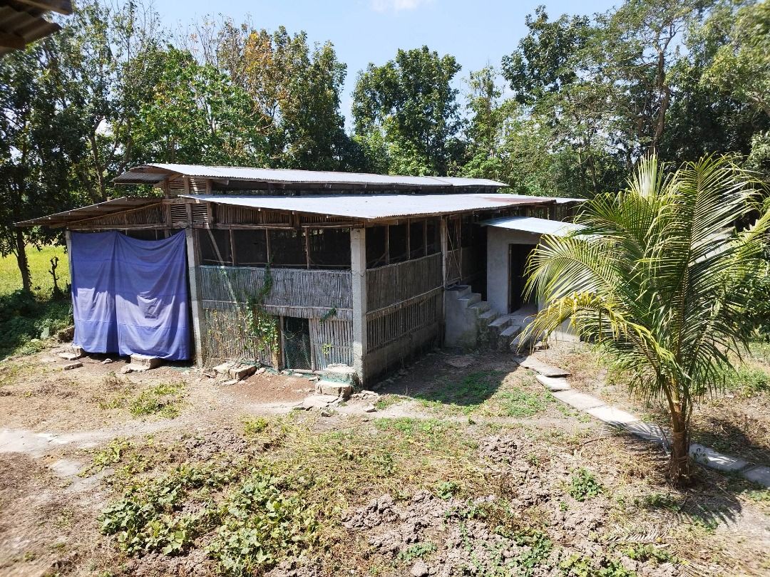 Operational Poultry Farm in San Juan Batangas for sale, Property, For Sale, Commercial on Carousell