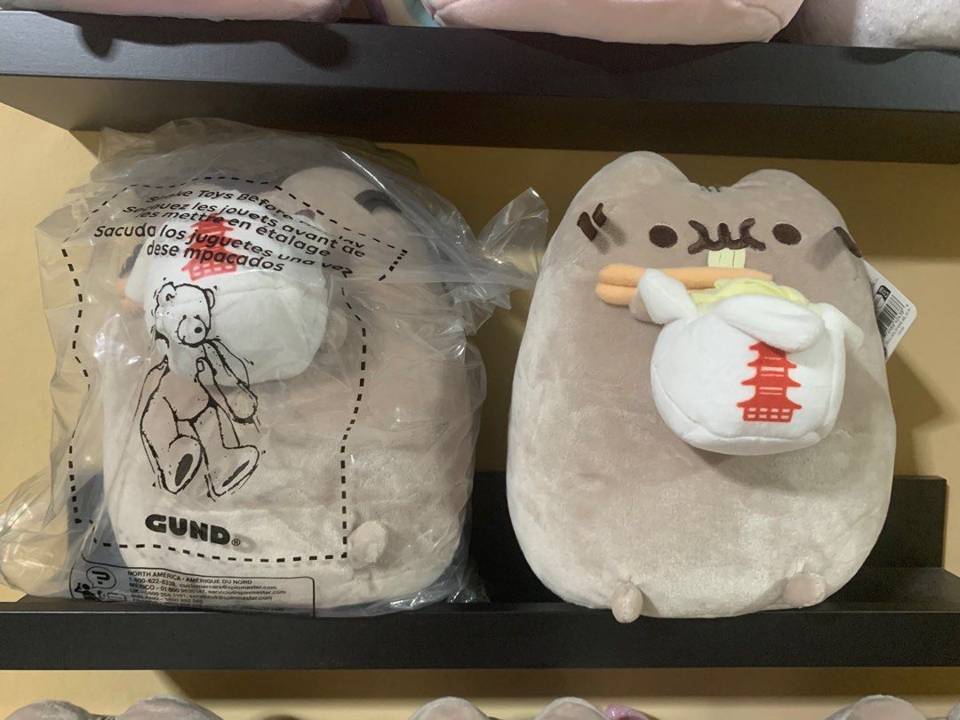 pusheen ramen bundle