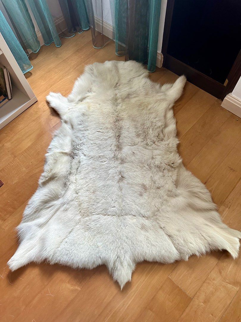 Reindeer Hide / Skin, Furniture & Home Living, Home Decor, Cushions ...