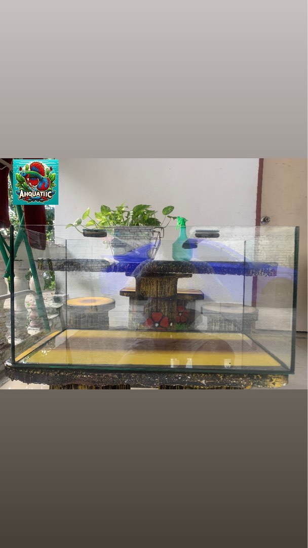 2ft Aquarium/Tank (New), Pet Supplies, Homes & Other Pet Accessories on ...