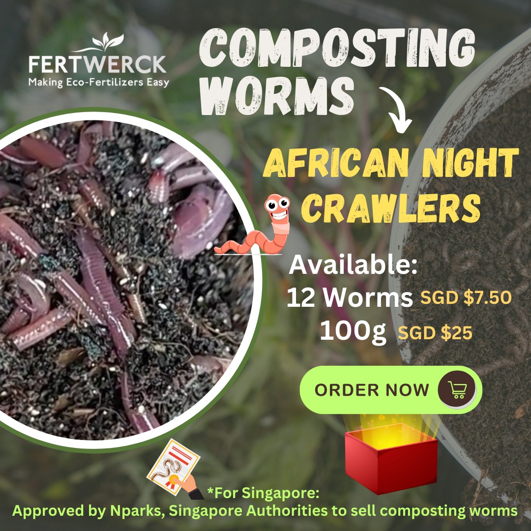 Affordable Compost Worms, African Night Crawler ANC worms, Compost Worm ...