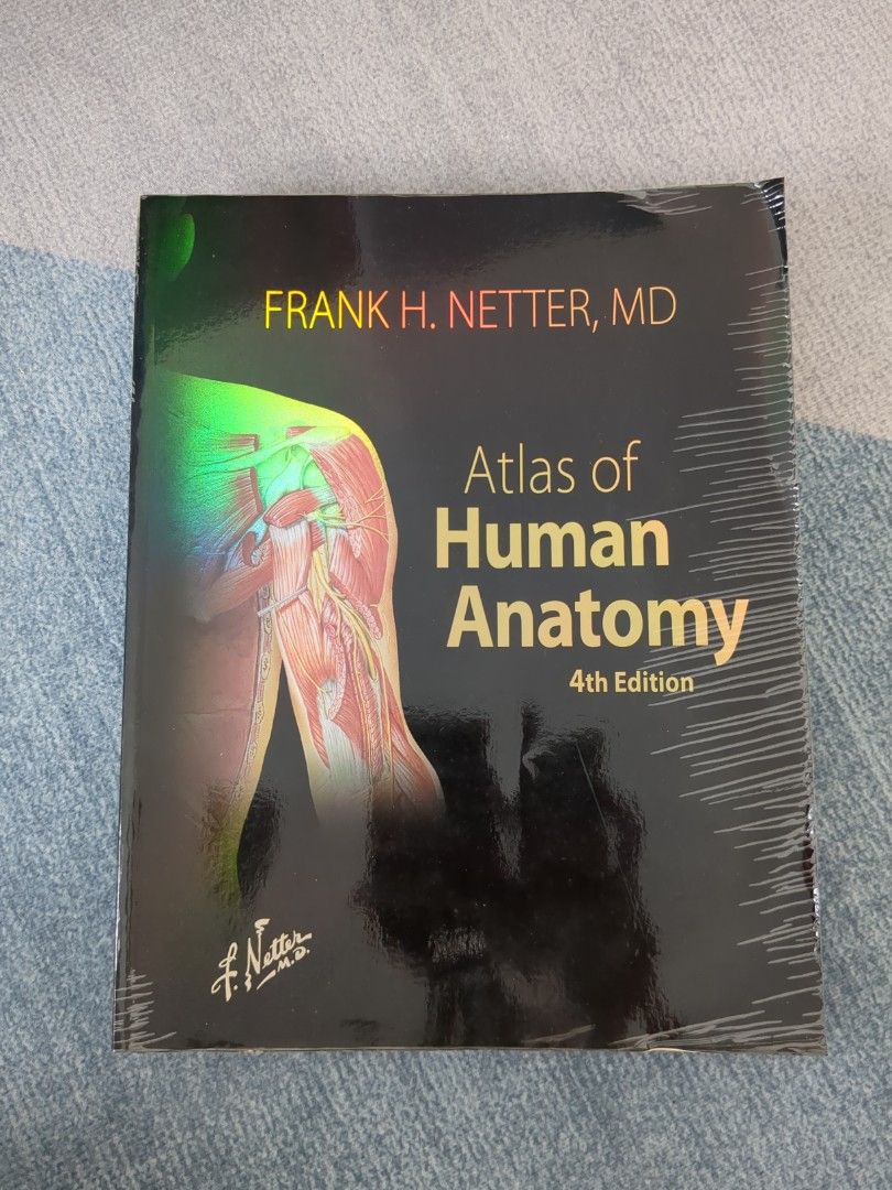 Atlas of Human Anatomy (4th ed) by Frank H Netter, Hobbies & Toys ...