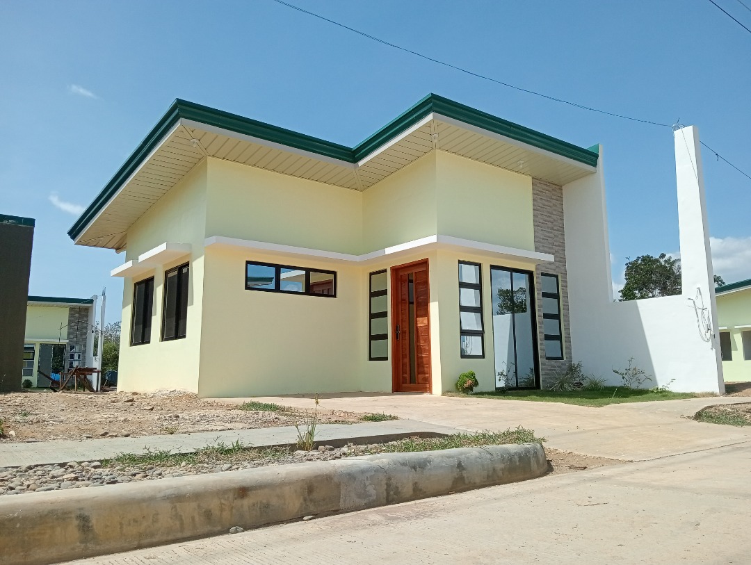 Pre-Selling House and Lot for Sale in Green Meadows Palawan, Property ...