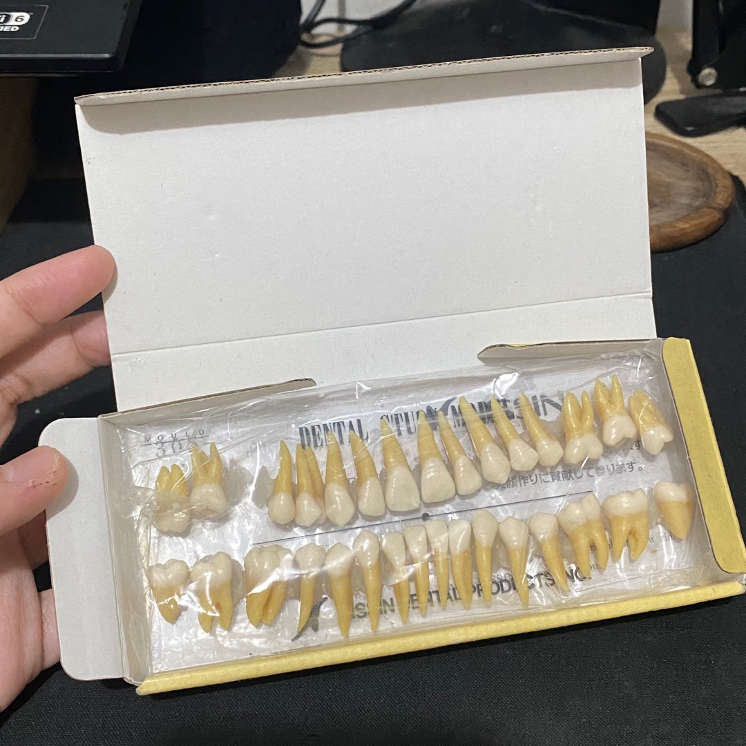 Nissin Anatomical Tooth Model, Ivory wax, Articulator, Everything Else ...