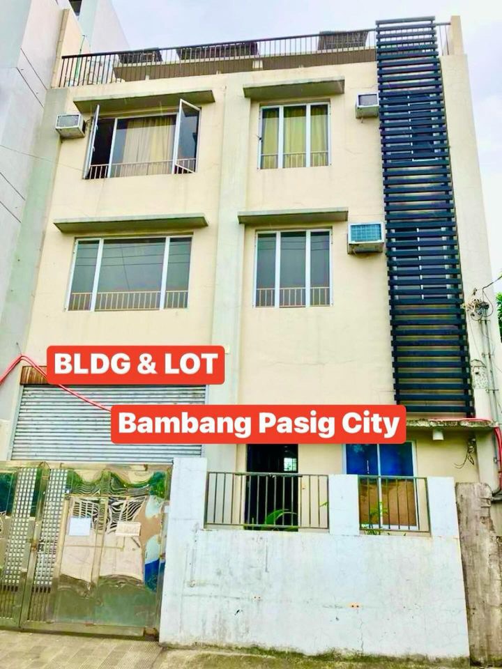 Bambang Pasig Commercial Building and Lot for Sale, Property, For Sale ...