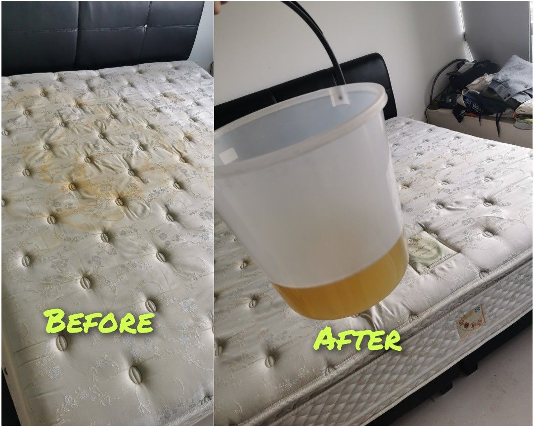 [Min 2 items] Deep Extraction for Sofa Carpet, 160° High Pressure Steam ...